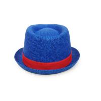 China Unisex Fedora Panama Straw Hat Adjustable Blue 56cm Custom Logo OEM for sale