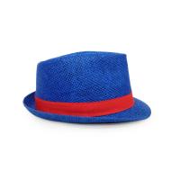 China Unisex Fedora Panama Straw Hat Adjustable Blue 56cm Custom Logo OEM for sale