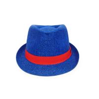 China Unisex Fedora Panama Straw Hat Adjustable Blue 56cm Custom Logo OEM for sale