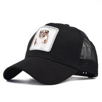 China 6 Panel Foam Mesh Trucker Caps Curved Brim ISO9001 Certificate for sale