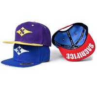 China 3D Embroidery Logo Acrylic Snapback Caps Flat Brim 58cm SGS Approved for sale