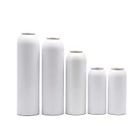 China Customized White Aluminum Aerosol Can for Chemical Industrial Metal Packaging for sale