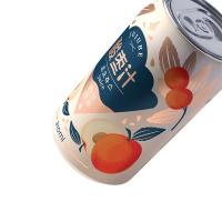 China Customized Design Aluminum Cans 250ml 330ml 355ml 500ml Customized Color for Soda for sale