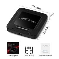 China Portable Wireless Car Carplay Tesla AI Box Android System For Model 3 Y for sale