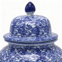 China Blue And White Ceramic Ginger Jar With Lid Decorative Porcelain Storage Jar 31cm Tall for sale
