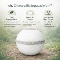 China White Sphere Biodegradable Urns Memorial Cremation Containers Custom Design for sale