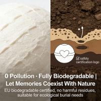 China Eco Water Burial Biodegradable Urns Cremation Boxes For Human Ashes OEM Service for sale