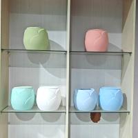 China Sustainable Biodegradable Memorial Urns Cream White Eco Urns For Ashes for sale