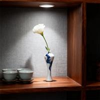 China Ceramic Jars Contemporary Blue White Display Jar B2B for sale