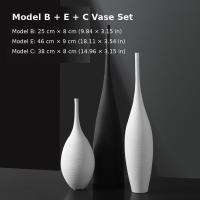 China Minimalist Ceramic Vase Collection in Black and White for sale