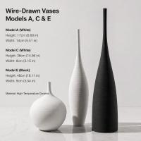 China Minimalist Ceramic Vase Collection in Black and White for sale