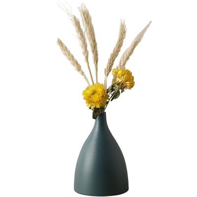 China Contemporary Mini Vase for Single Stem Display for sale