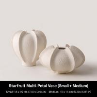 China Starfruit Multi-Petal Vase for Modern Home Decor for sale