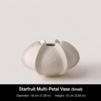 China Starfruit Multi-Petal Vase for Modern Home Decor for sale