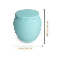 China Eco Burial Urn Supplier Custom Color Finish Options for sale
