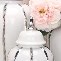 China Elegant Ceramic Covered Jar with Gold Lines for sale