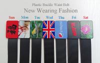 China Nylon webbing Adjustable Belt Buckle Printable Plastic Quick Release Belt Buckle for sale
