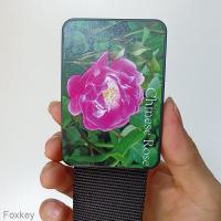 China Free Print Belt Adjustable Buckle Plastic With Personalized Image Promotion for sale
