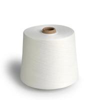 China Poly Core Spun Yarn 50s 45s 28s 29s 21s 23s 32s 23s 16s 12s 100% Polyester for sale