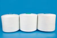 China Well Sewing Function 100% Polyester Spun Yarn 50s/2 40s/2 60s/3 on Dyeing Tube for sale