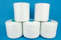 China High Strength Raw White 40/2 Spun Polyester Thread For Sewing for sale