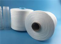 China Raw White Ring Spun Z Twist Polyester Paper Cone Yarn for sale