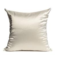 China Custom Satin Throw Pillow Pure Color Imitation Silk Home Car Cushion 500pcs MOQ for sale
