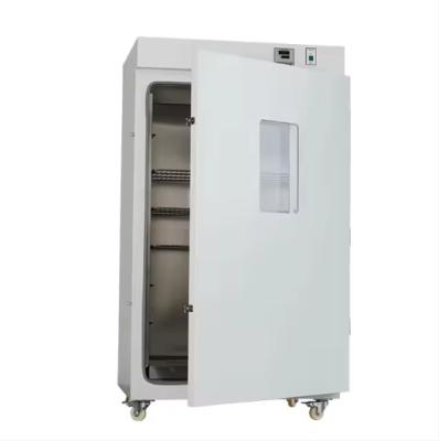 China Constant Temperature Heating Vertical Blast Drying Oven Laboratory Thermostatic Devices for sale