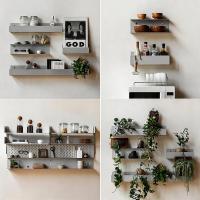China home Stainless steel Wall Mount Single partition Rack Living Room U shaped Magazine Storage Display Holder Green plant Organizer for sale