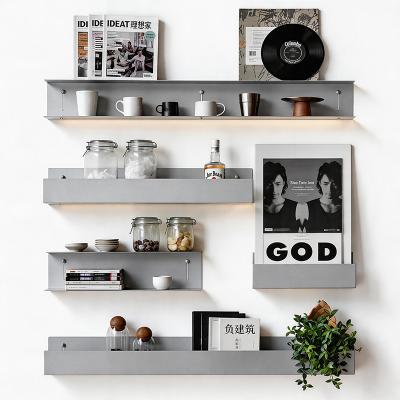 China home Stainless steel Wall Mount Single partition Rack Living Room U shaped Magazine Storage Display Holder Green plant Organizer for sale
