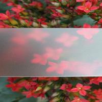 China Custom White Milk Polycarbonate Frosted Sheet 1.3-10mm Thickness for LED Light Diffusion with 250x Impact Resistance for sale