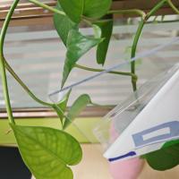 China Transparent Solid Polycarbonate PC Sheet 4mm 6mm 8mm 10mm for Garage Shed for sale