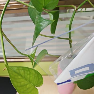 China Transparent Solid Polycarbonate PC Sheet 4mm 6mm 8mm 10mm for Garage Shed for sale