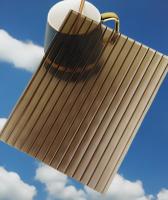 China TOPPC 6mm Polycarbonate Hollow Sheet Twin Wall Panel B1 Fire Rated Anti UV PE Film for sale