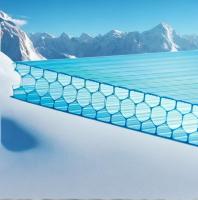 China TOPPC Polycarbonate Hollow Sheet 4mm-20mm Twin Wall Honeycomb Panel B2 Fire Rated for sale