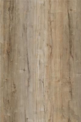 China 4mm SPC Core Vinyl Plank GKBM SPC Wood Flooring for sale
