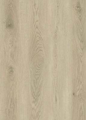 China 1220mm Biodegradable SPC 4mm Wear Resistant High Flexibility GKBM FT-W29167AB-1 for sale