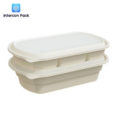 China Biodegradable Environmentally Friendly Lunch Box Disposable Paper Pulp Moulded for sale