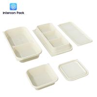 China ISO9001 Disposable Paper Food Packaging With Bagasse Straw Bamboo Material for sale