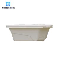 China 800ml Paper Pulp Moulded Trays Sugarcane bagasse pulp fiber plant paper with lid for sale