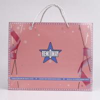 China Custom 300gsm Kraft Paper Gift Bag Full Color Printing with Handle for Clothing Packaging for sale