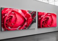 China Wall Mounted P2 Indoor Led Screen Display SMD1515 800cd/M2 OEM ODM for sale