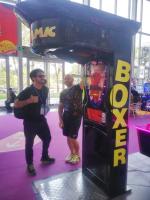 China Large Boxing Game Machine Fist Force Measurement Arcade Large Entertainment Equipment Boxing Game Machine for sale