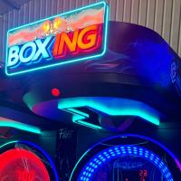 China Customized Boxer Hitting Game Machine Sports Electronic Dynamic Arcade Boxing Game Machine Strength Tester Arcade Machine for sale