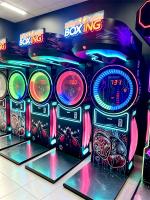 China Customized Boxer Hitting Game Machine Sports Electronic Dynamic Arcade Boxing Game Machine Strength Tester Arcade Machine for sale