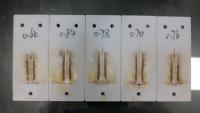 China Insulation Tracking Test Apparatus High Voltage IEC0587 ASTMD2303 Standards for sale