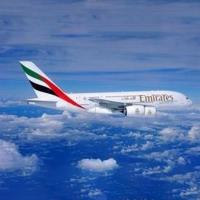 China Dangerous Goods Dubai UAE Forwarder Door To Door international logistics solution China for sale