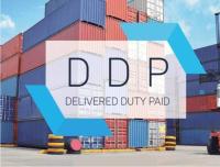 China DDP DDU Full Container Load Ocean Freight From China To Singapore for sale