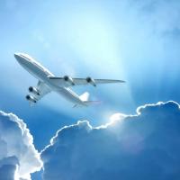 China Agent to Middle East International Freight Forwarding Services PCL LCL for sale