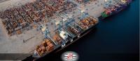 China Door to Door China Sea Freight Services pickup Freight Forwarder China To UAE for sale